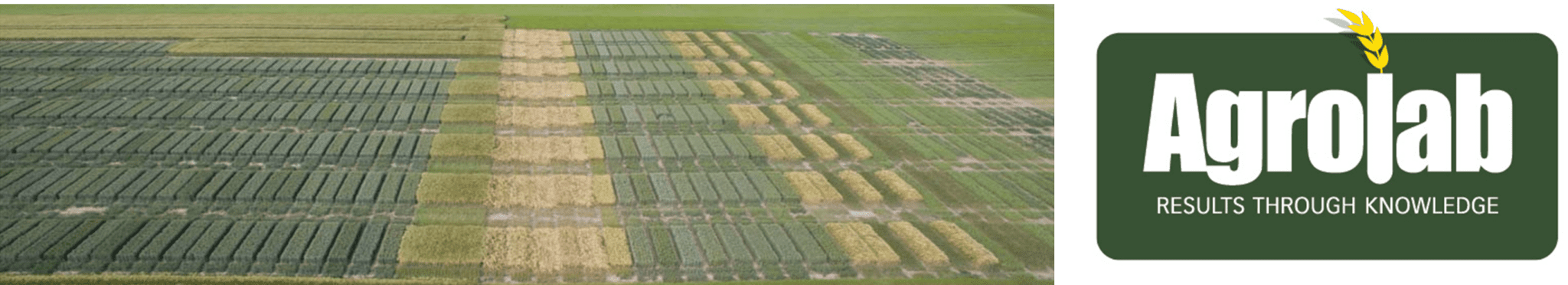 Agrolab introduces new team of managers | Agrolab