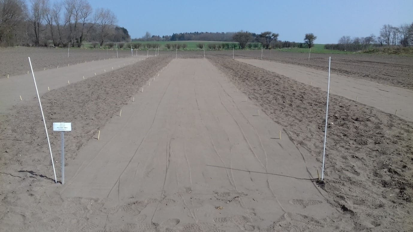 News from the field department: Season starting in GLP | Agrolab