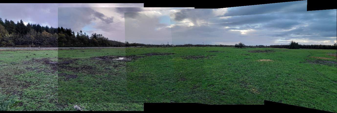 Impressions from the Field Department: Regulation of moles in grassland ...